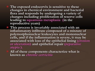 PATHOLOGY OF THE CERVIX | PPT