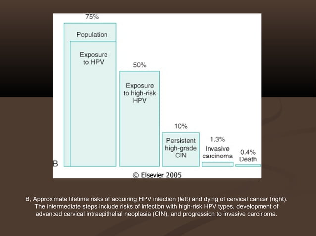 PATHOLOGY OF THE CERVIX | PPT | Reproductive Health | Diseases and ...