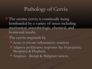 PATHOLOGY OF THE CERVIX | PPT