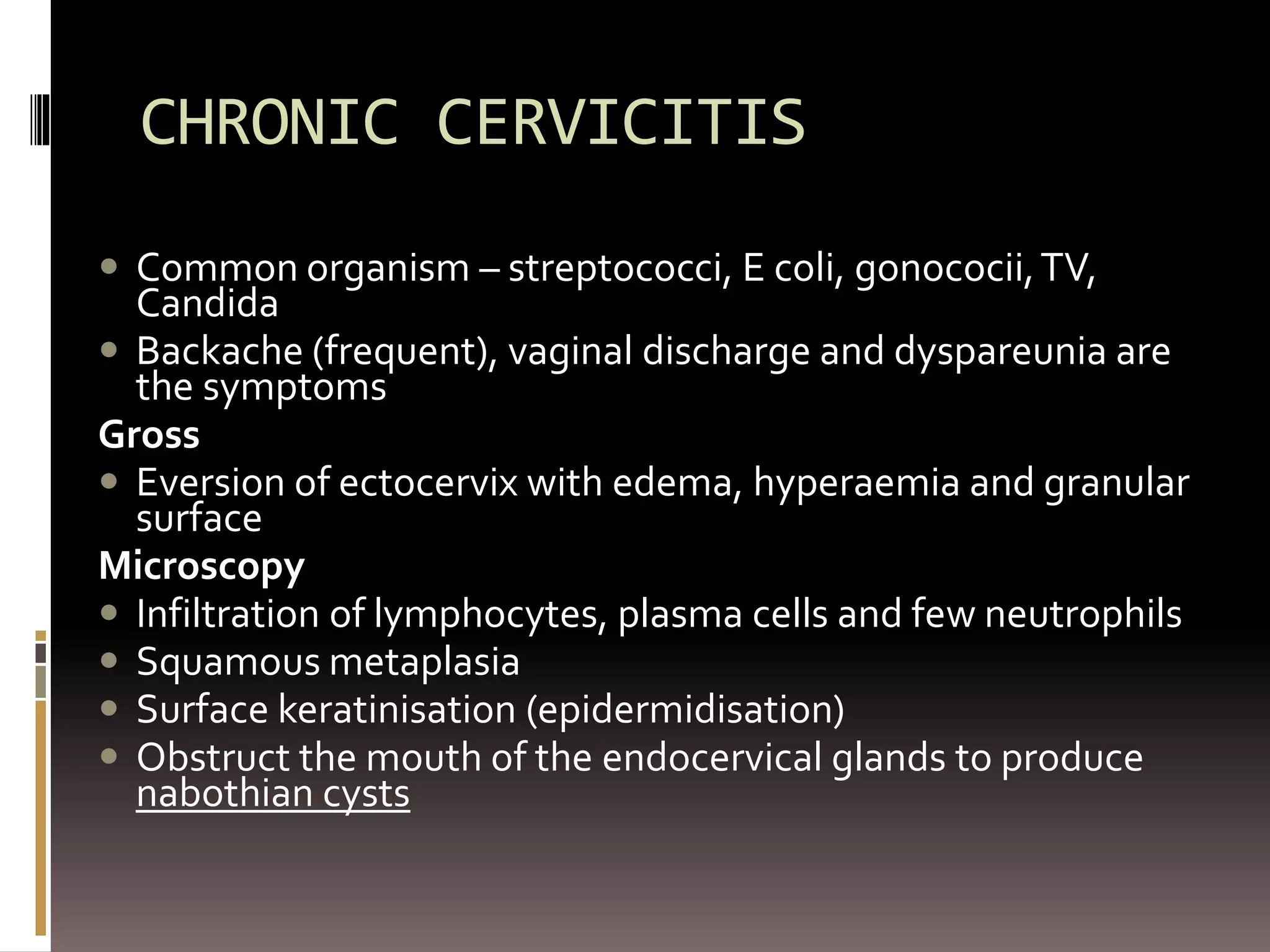 Cervix | PPTX