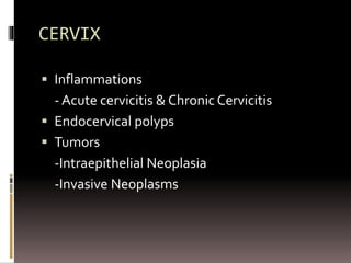 Cervix | PPTX