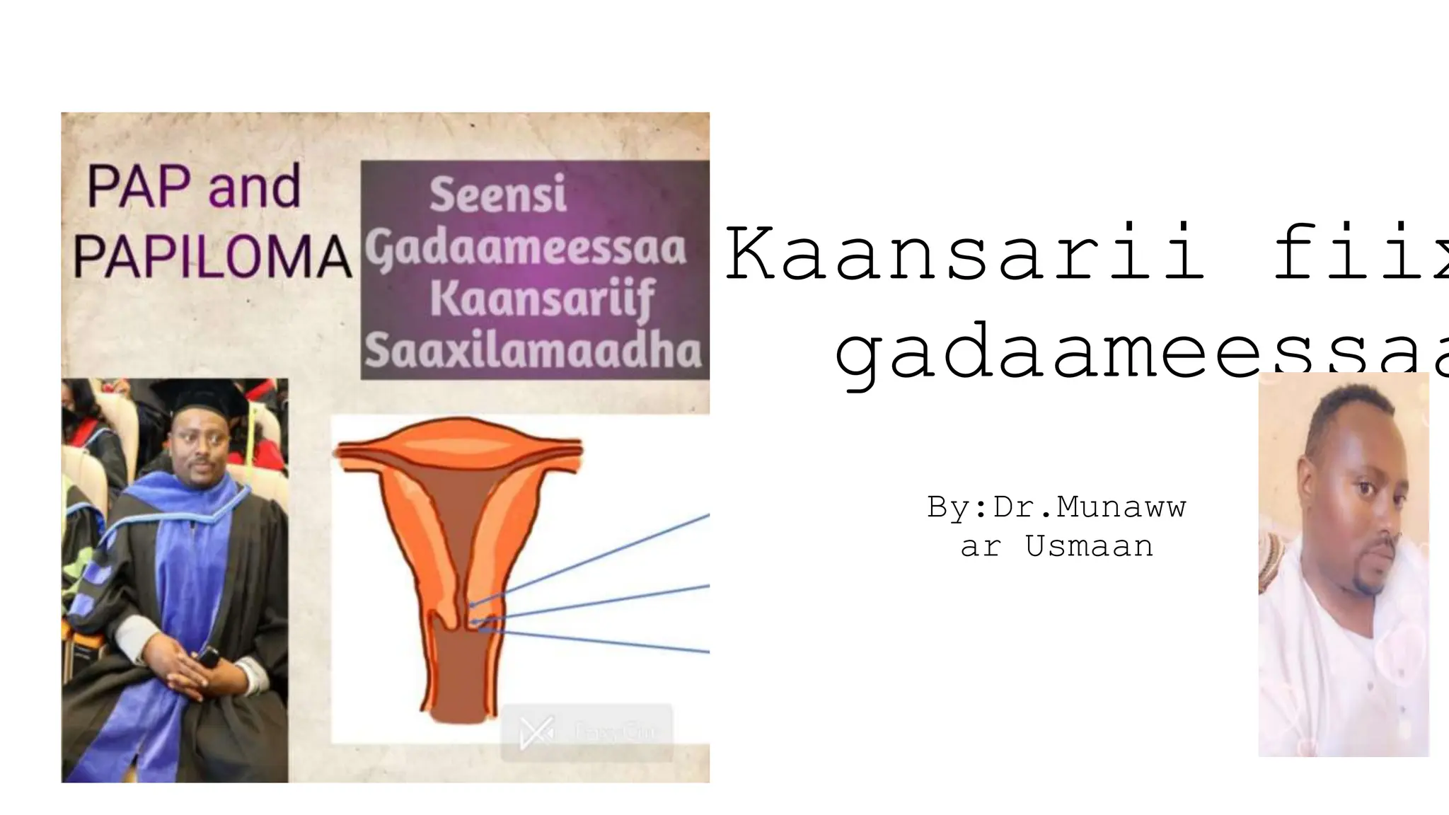 cervical cancer pap smear and papiloma virus | PPT