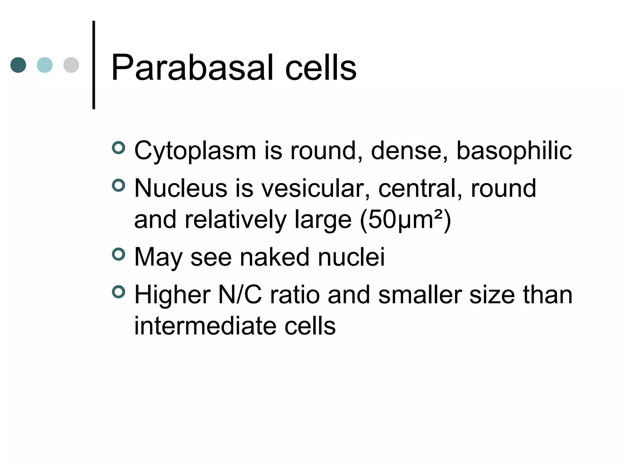 Cervix-bethesda system | Abdul Quddus | PPT