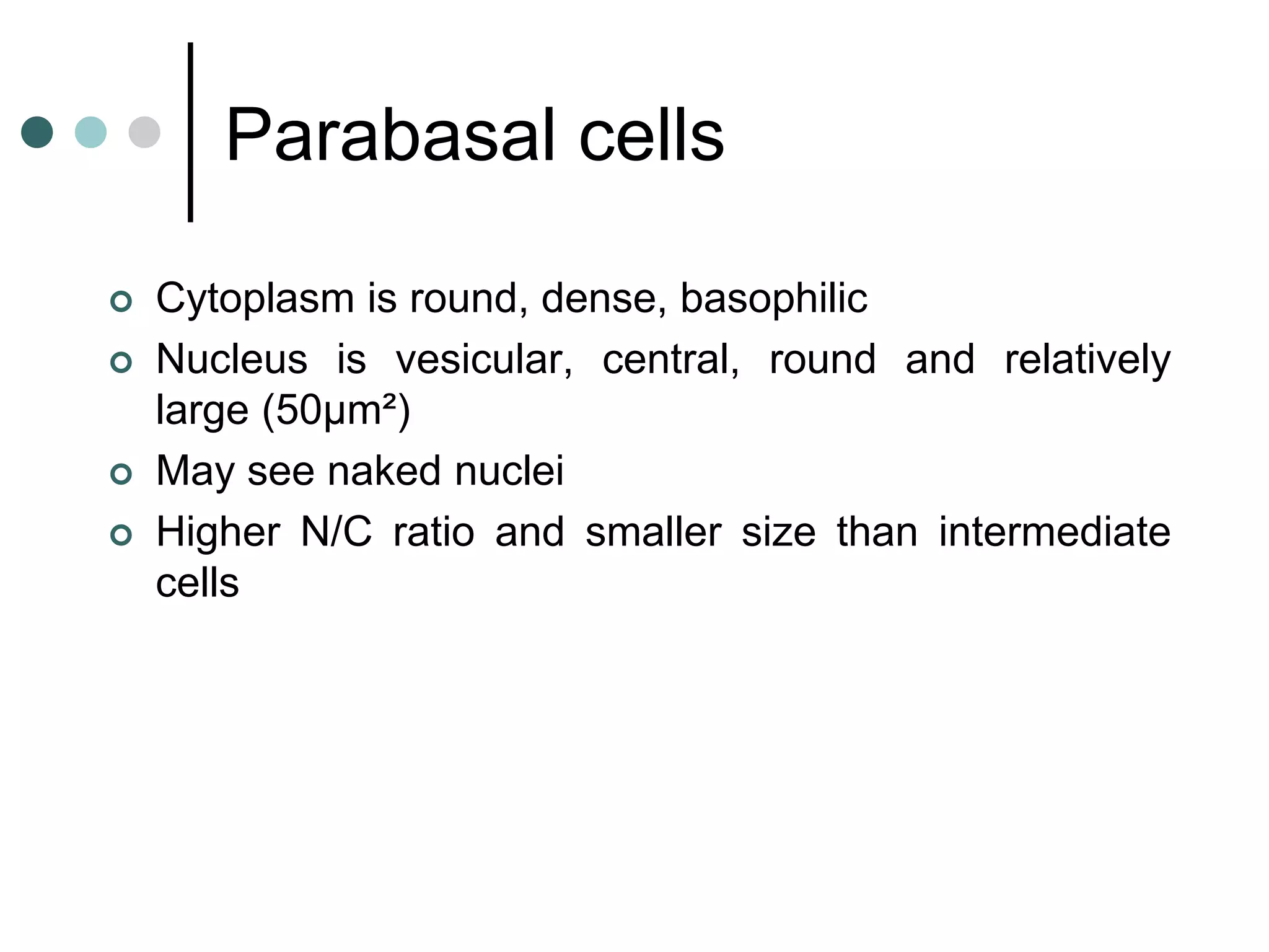 Cervix bethesda system | PPT