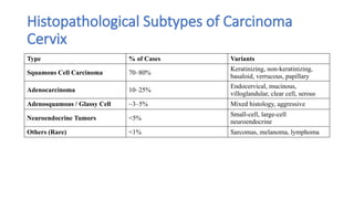 Anatomy of cervix and cervical cancer workup | PPTX