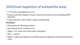 Anatomy of cervix and cervical cancer workup | PPTX