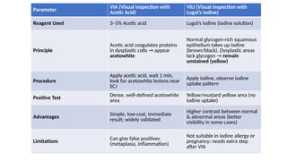 Anatomy of cervix and cervical cancer workup | PPTX
