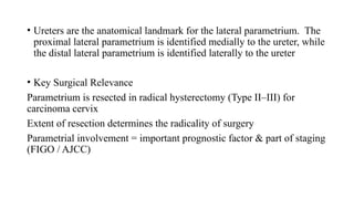 Anatomy of cervix and cervical cancer workup | PPTX