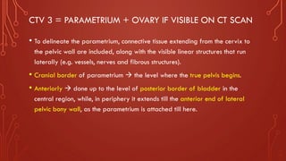 CERVIX CONTURING.pdf