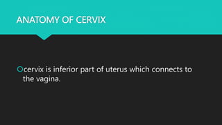 Anatomy of cervix | PPTX