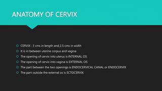Anatomy of cervix | PPTX