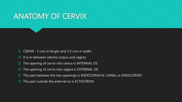 Anatomy of cervix | PPTX