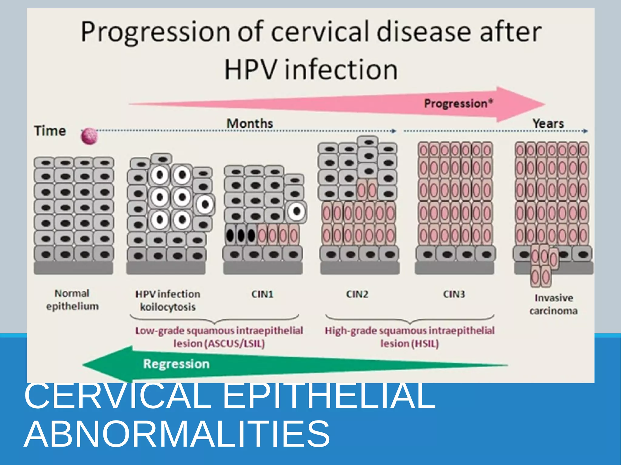 Pathology of Cervix | PPT