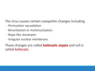 Pathology of Cervix | PPT