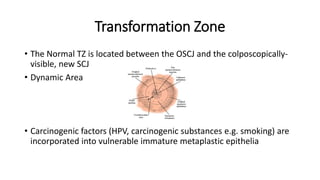 Cervical Screening State of the Art 2016 | PPT