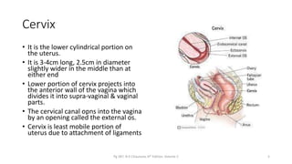 cervix work up.pptx