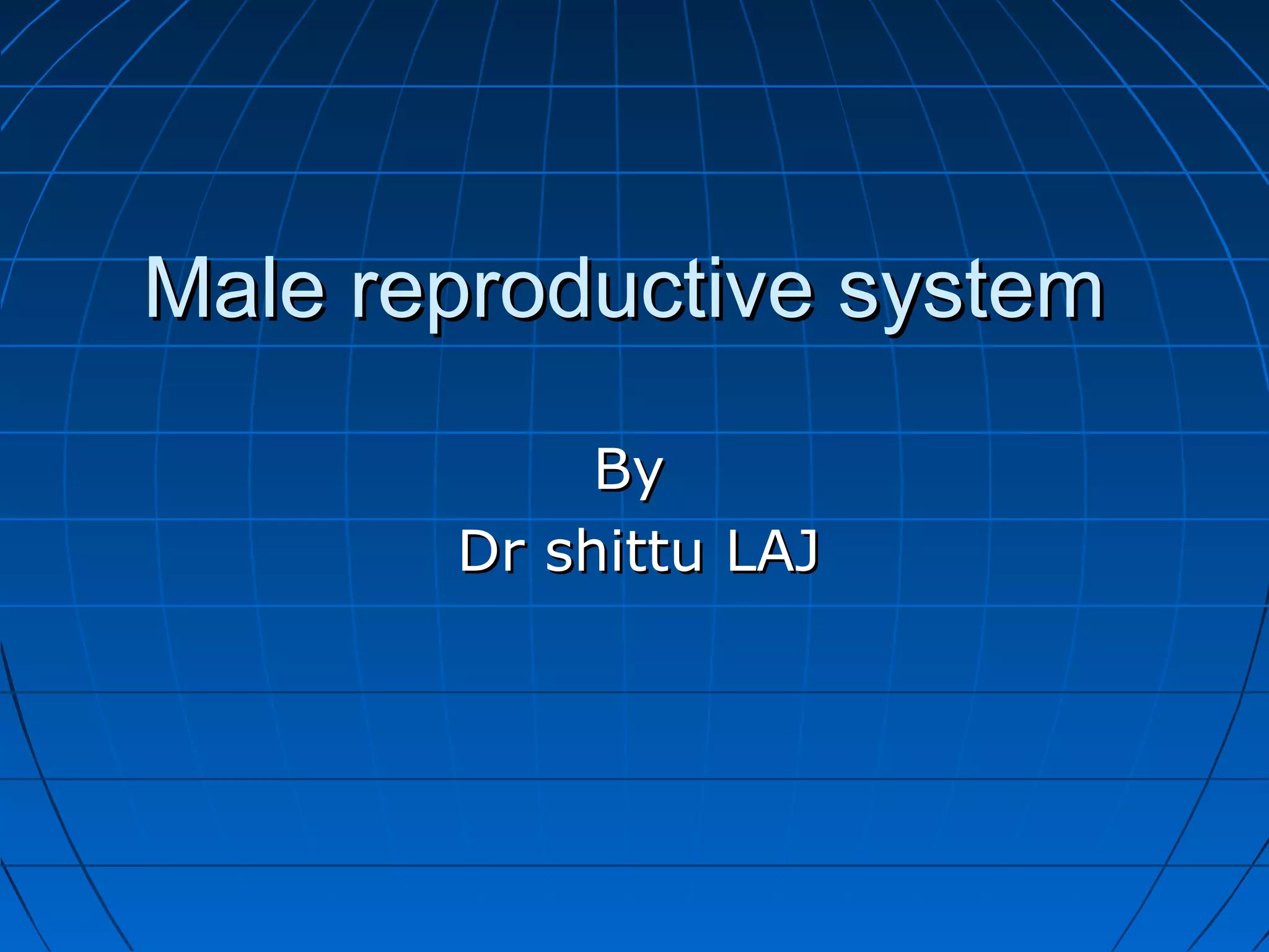 Male reproductive system | PPT