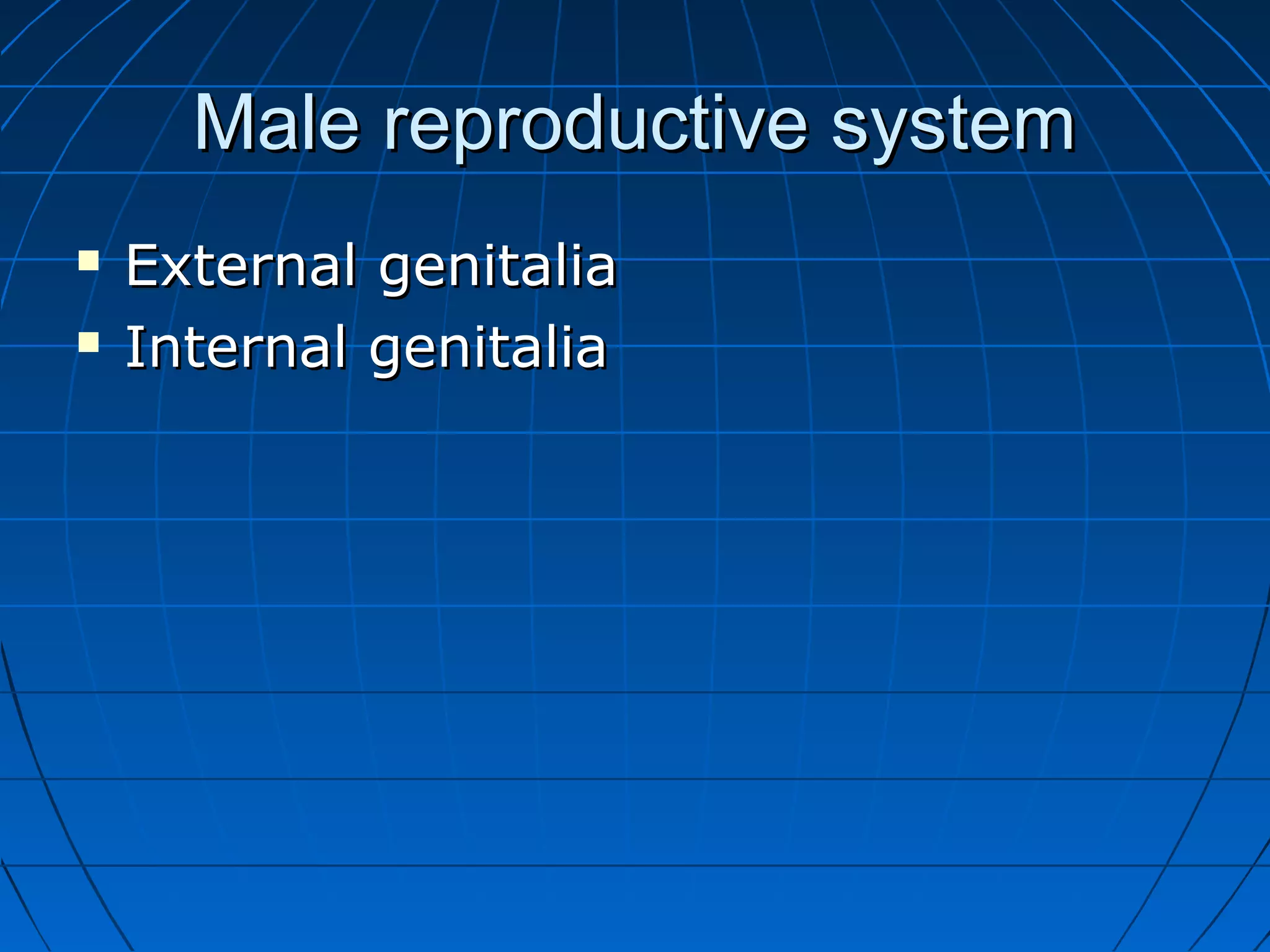 Male reproductive system | PPT