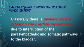 Cauda equina syndrome | PPTX