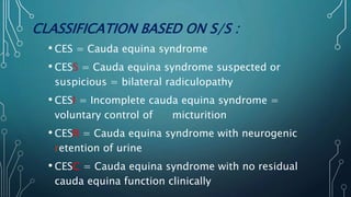 Cauda equina syndrome | PPT