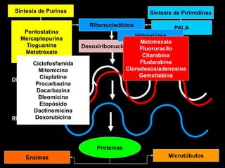 Clase de quimioterapia antineoplásica (2016.01) | PPT