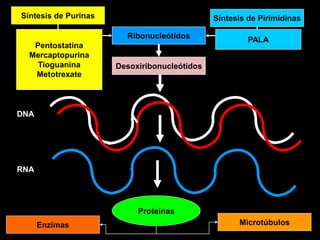 Clase de quimioterapia antineoplásica (2016.01) | PPT