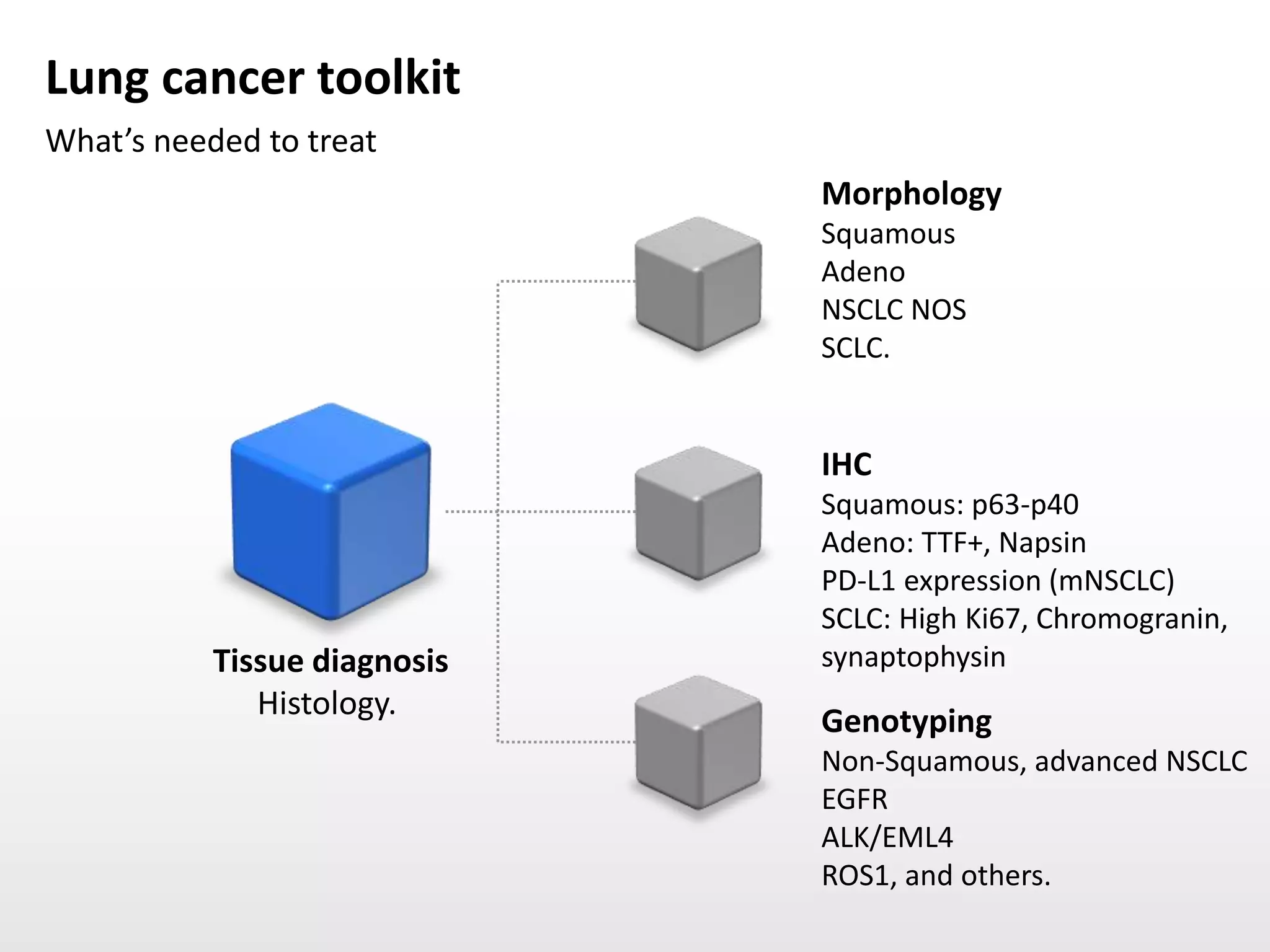 CES201901: Lung cancer toolkit | PPT