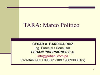 TARA: Marco Político | PPT