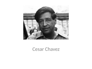 Cesar Chavez Power Point Edjucation on His life and lagacy | PPTX