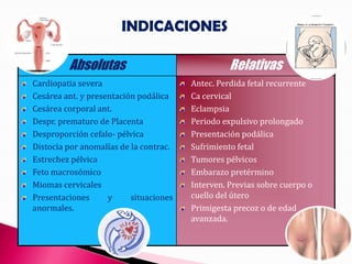 Cesarea | PPTX
