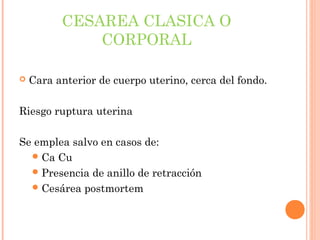 Cesarea | PPT