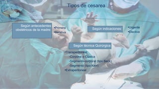 Cesarea | PPTX