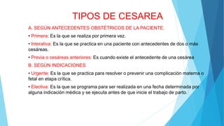 Cesarea | PPTX