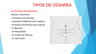 Cesarea | PPTX