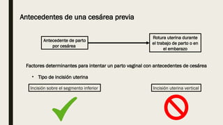 cesarea PROCEDIMIENTO, INDICACIONES .pptx