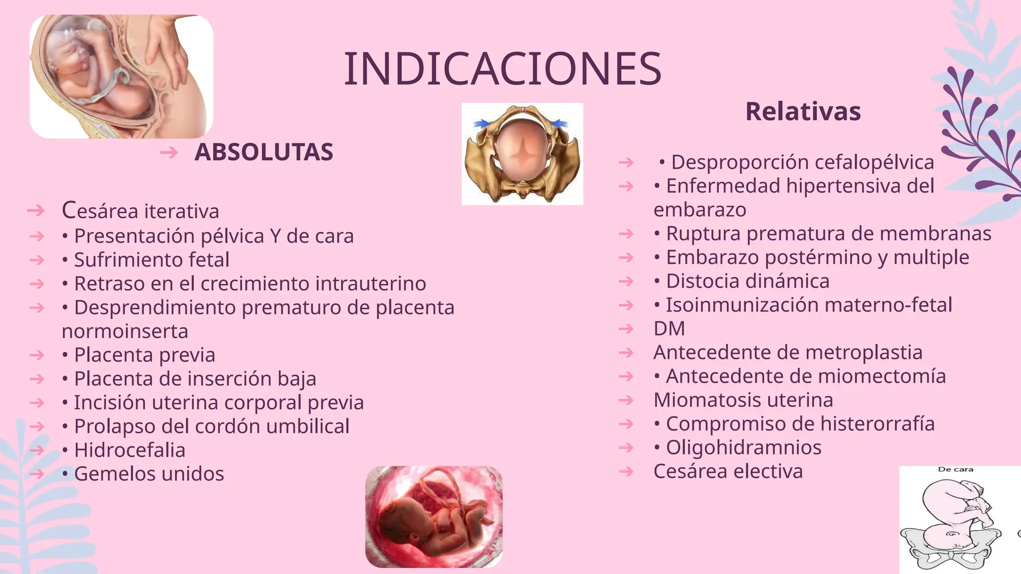 Los diferentes tipos de Cesáreas ginecológia | PPTX