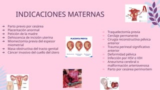 Los diferentes tipos de Cesáreas ginecológia | PPTX