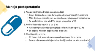 Cesarea Abdominal | PPTX