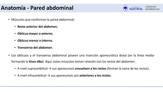 Cesarea Abdominal | PPTX