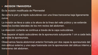 Cesarea | PPTX