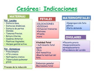 Cesárea | PDF