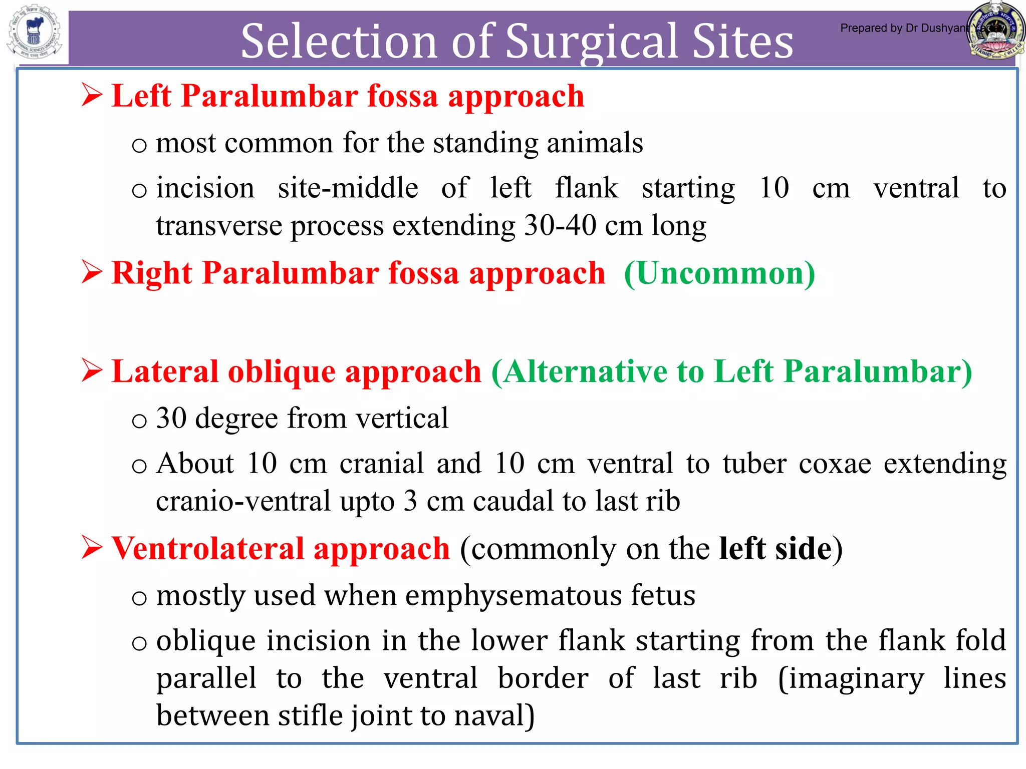 Cesarean section in Bovines | PDF