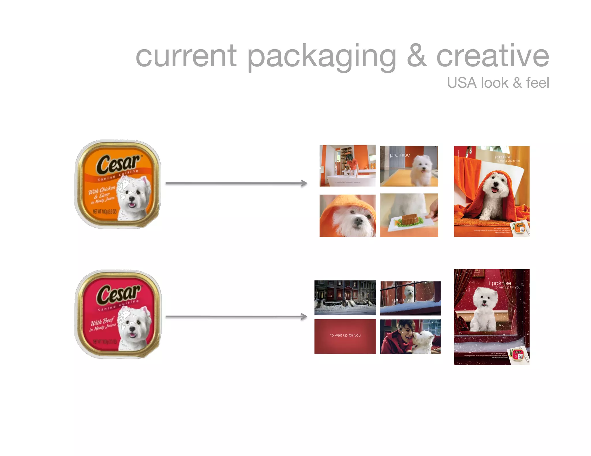 Cesar packaging study | PPT