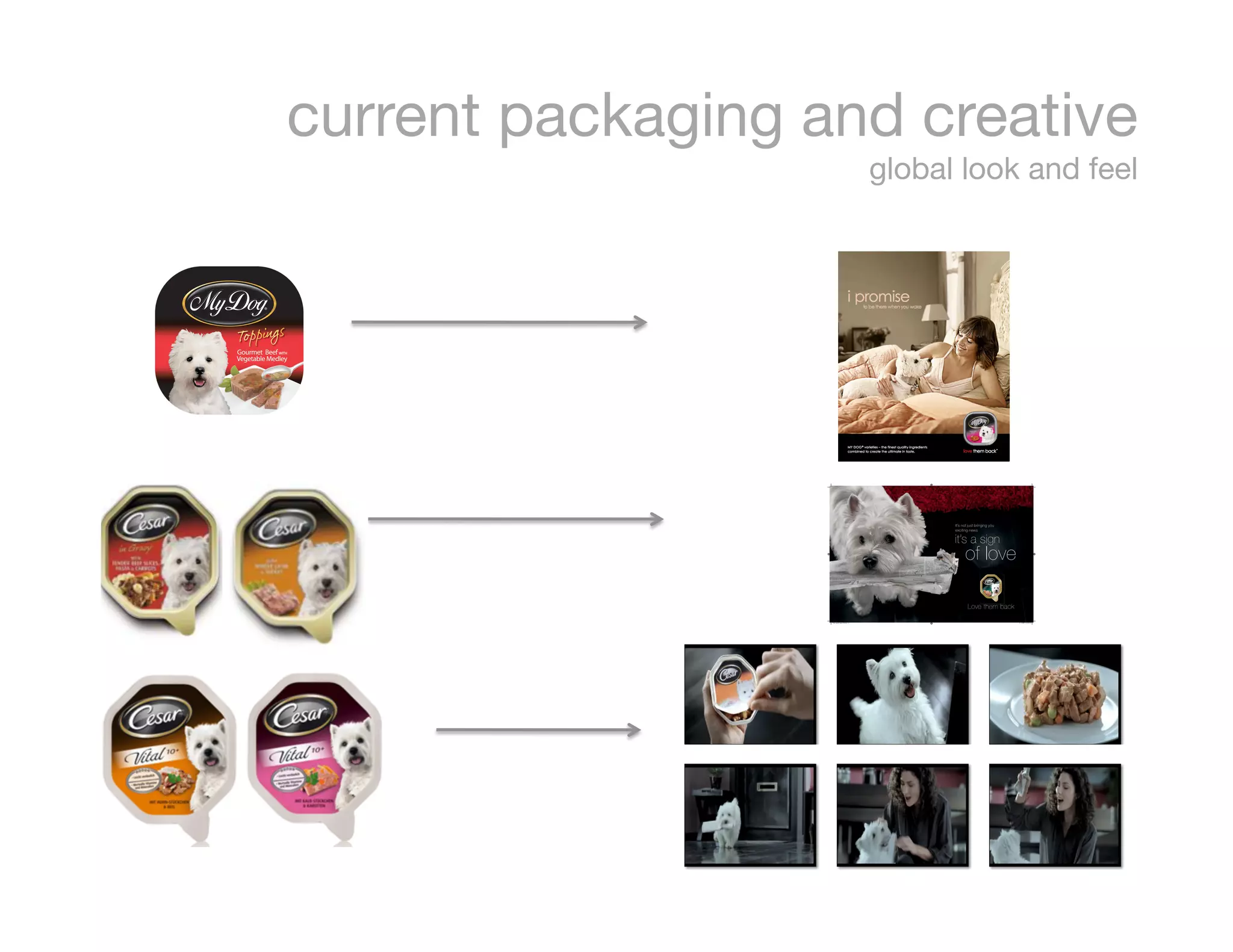 Cesar packaging study | PPT