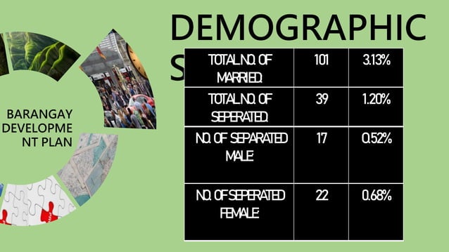cescni barangay Development Plan example,pptx | PPTX
