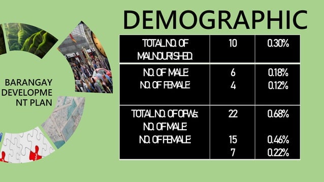 cescni barangay Development Plan example,pptx | PPTX