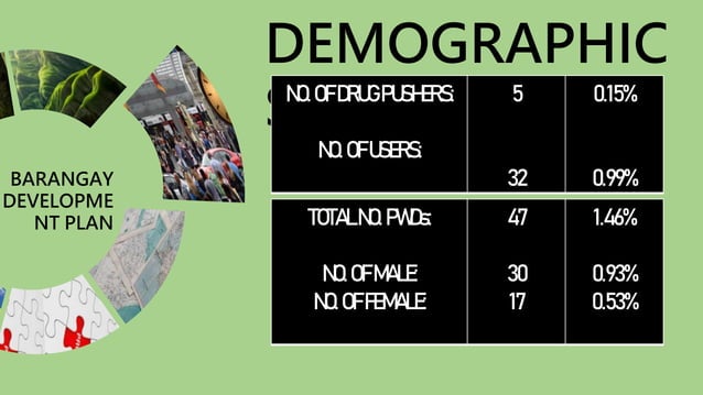 cescni barangay Development Plan example,pptx | PPTX