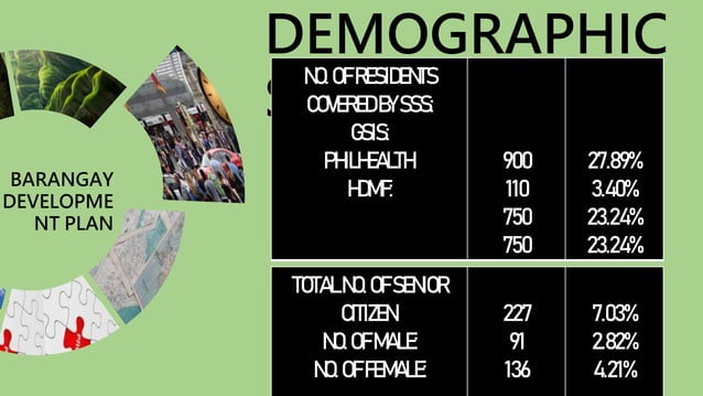 cescni barangay Development Plan example,pptx | PPTX