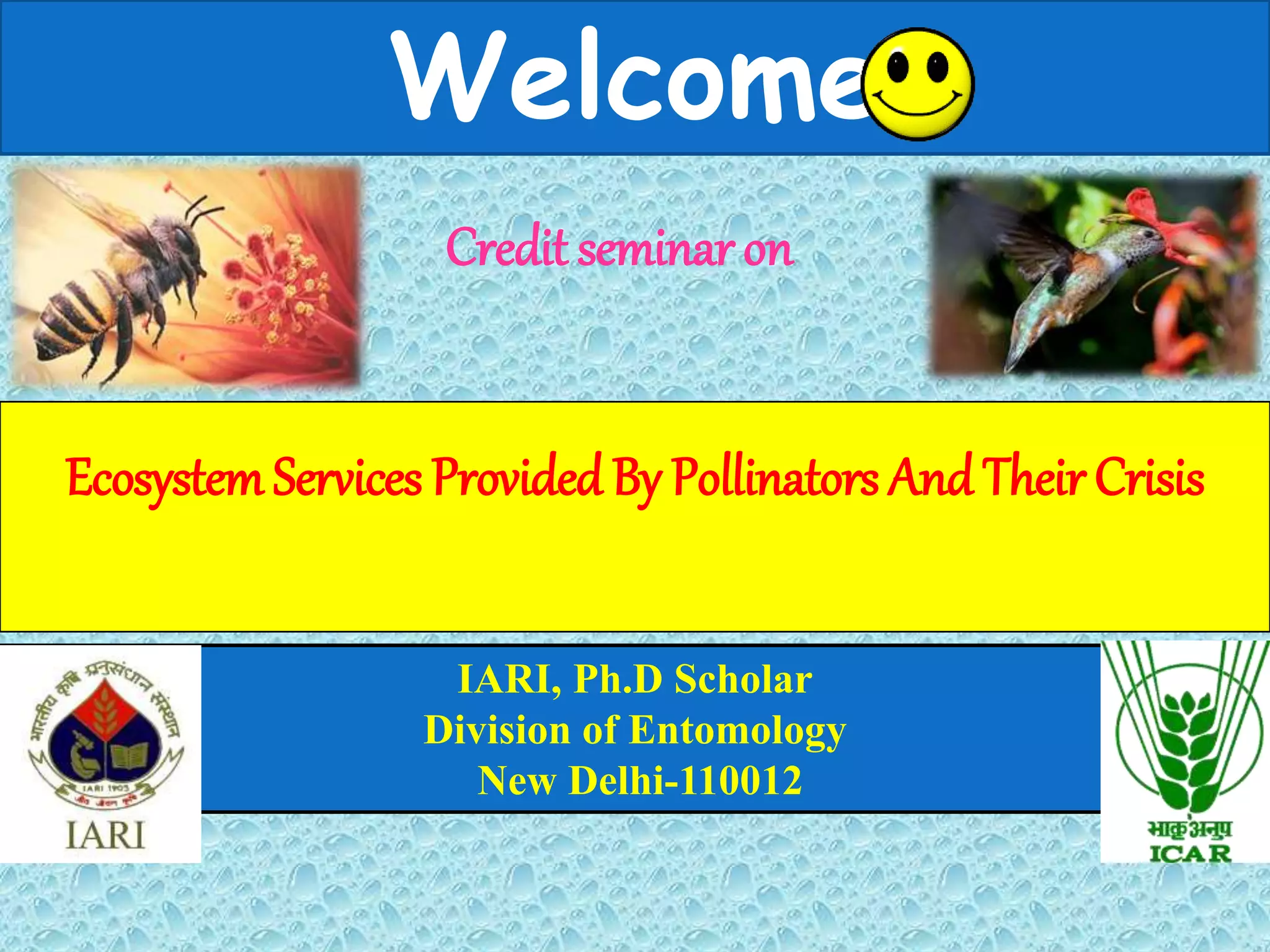 Ecosystem services provided by pollinators | PPTX