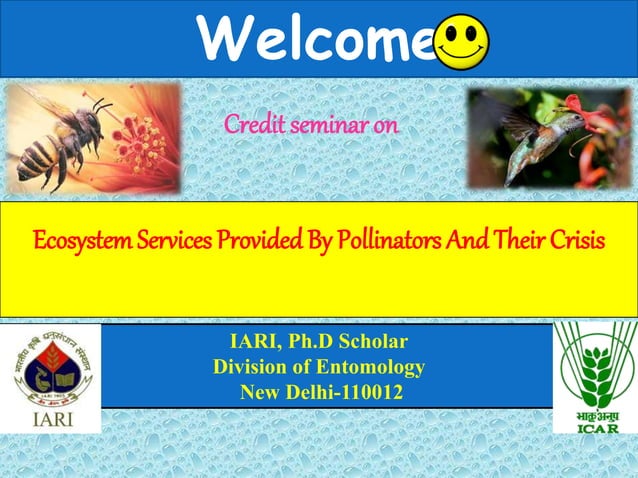 Ecosystem services provided by pollinators | PPTX